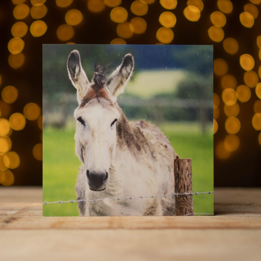 Greetings Cards (Individual): Various Styles | Official Cannon Hall ...