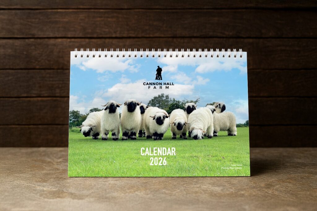 Cannon Hall Farm Official Calendar 2026 | Official Cannon Hall Farm ...